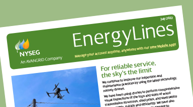 Understand Your Bill - NYSEG