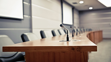 Company Overview - NYSEG