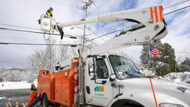 Company Overview - NYSEG