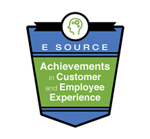 Company Overview - NYSEG