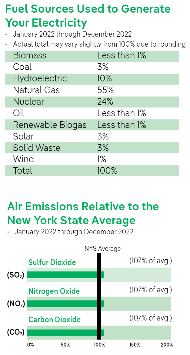 Environmental Disclosure - NYSEG